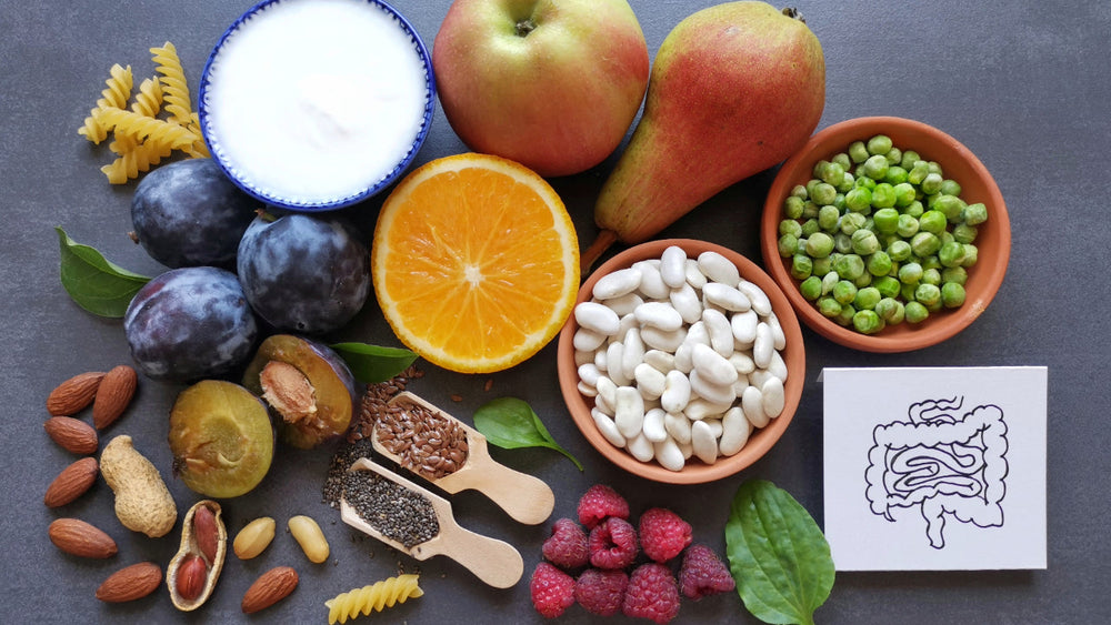 BodiCafe公式｜ボディビル＆筋トレサプリ専門通販｜山岸秀匡・アイリスカイル – Bodi Cafe