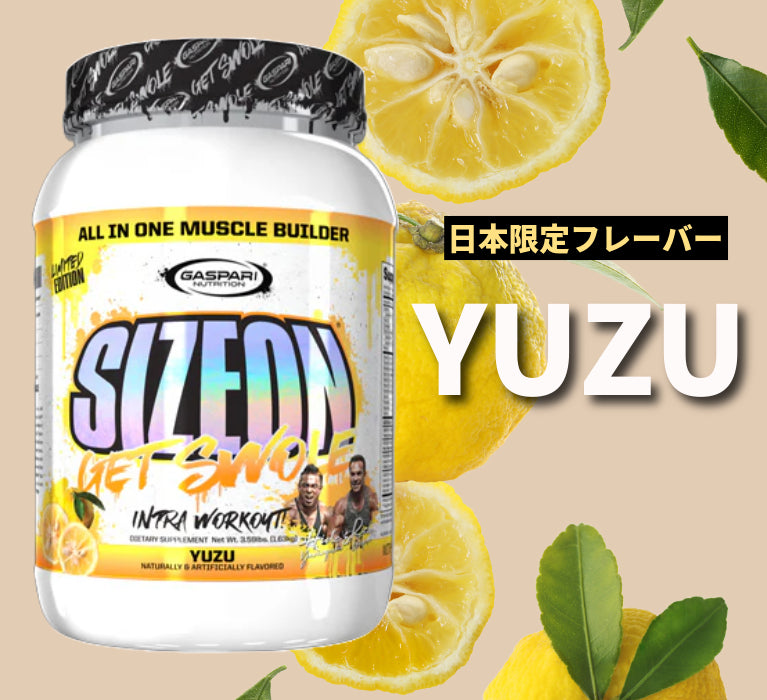 SizeOn - Maximum Performance - GASPARI NUTRITION | BodiCafe Official ...